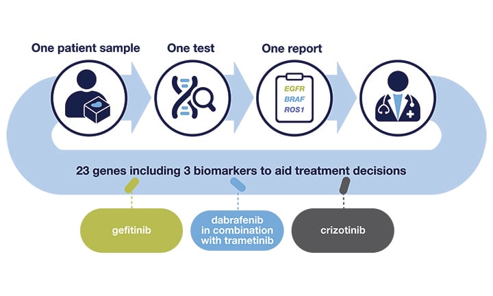 Targeted Next-Generation Sequencing In Vitro Diagnostic Test for NSCLC