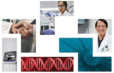 About Oncomine NGS Oncology Solutions